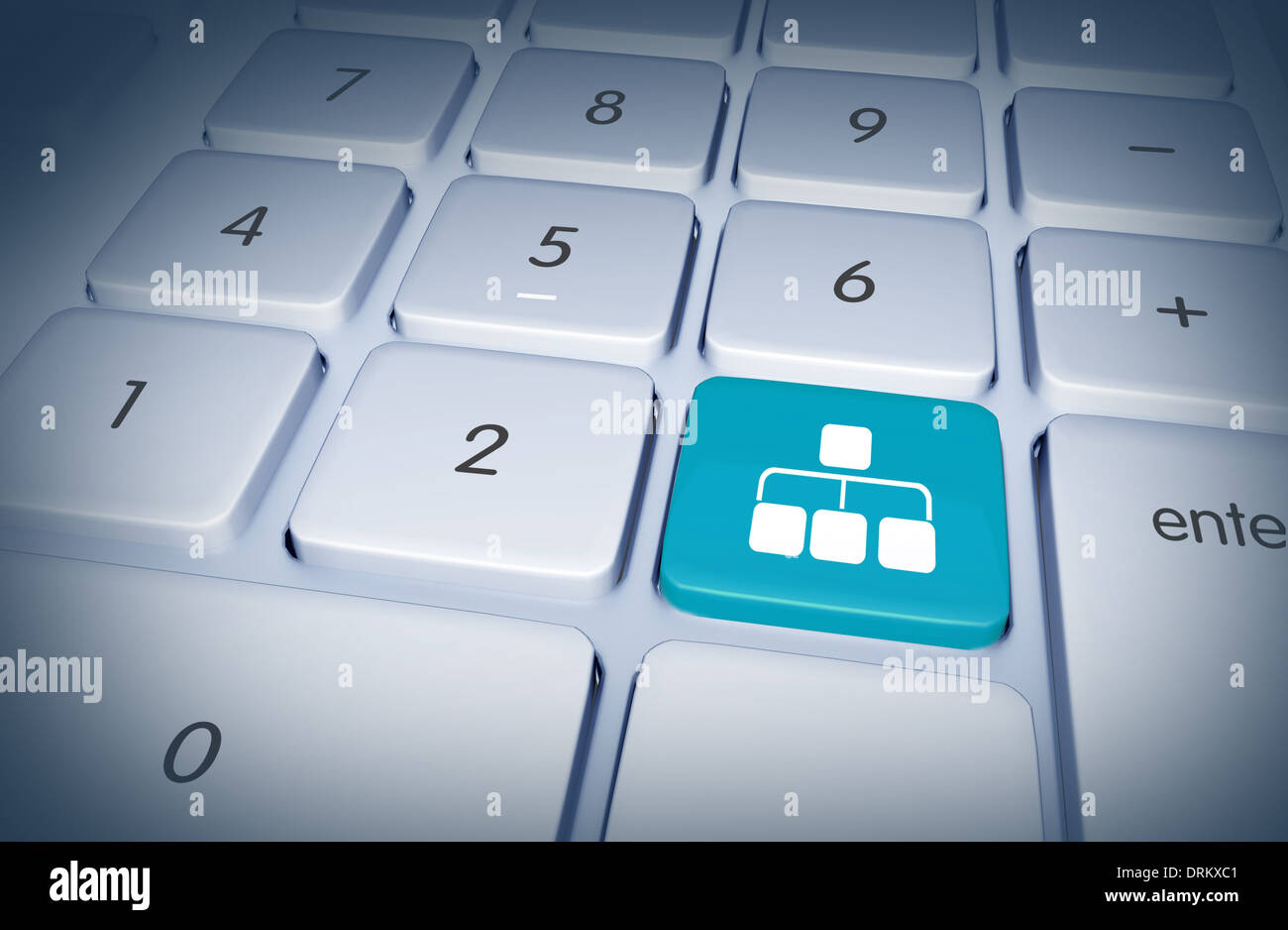 Networking Button - Network Custom Button on the Computer Keyboard ...