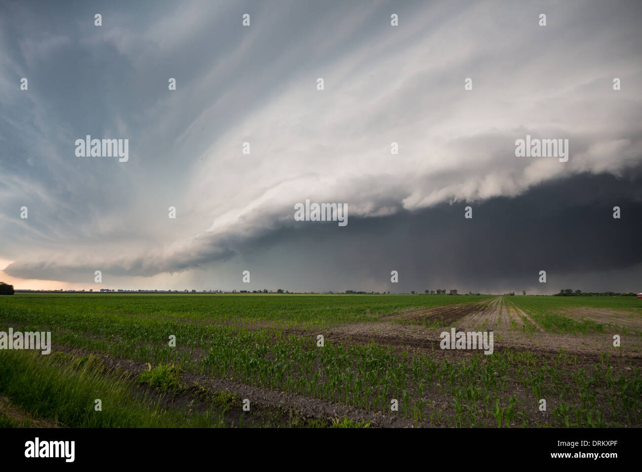 Storm gust hi-res stock photography and images - Alamy