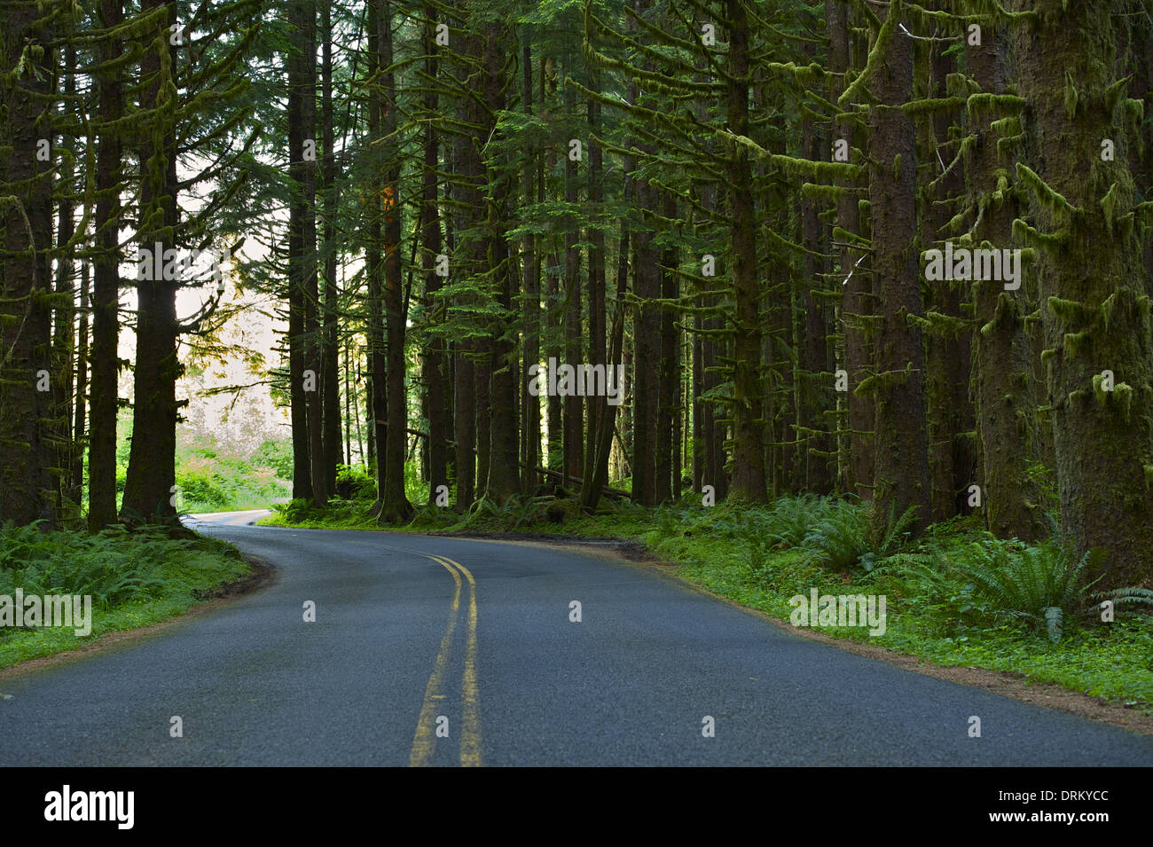 Washington collection hi-res stock photography and images - Alamy