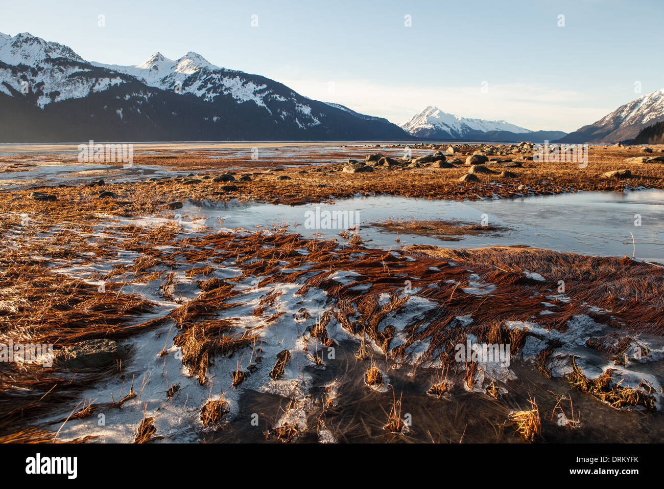 View of chilkat inlet and chilkat range hi-res stock photography and ...