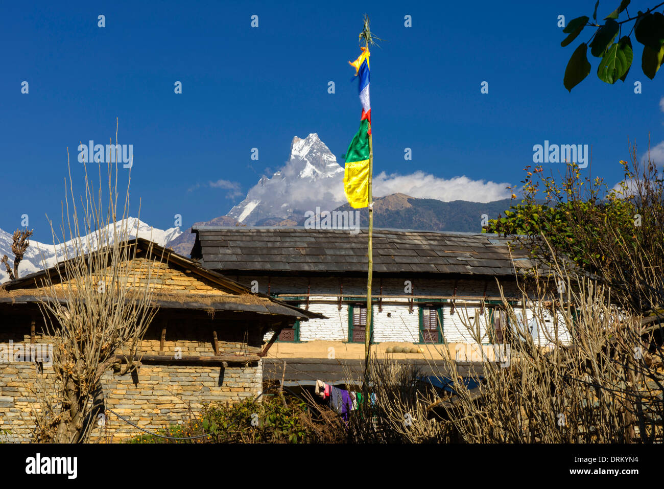 traditional Gurung houses in Ghandruk village in the Annapurna region ...