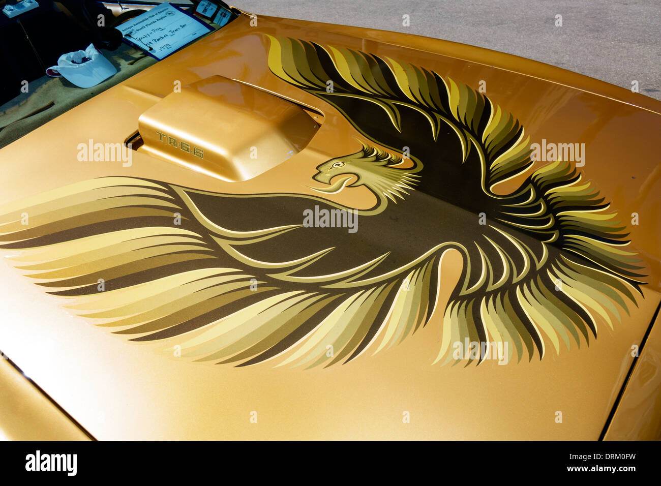 Firebird decal hi-res stock photography and images - Alamy