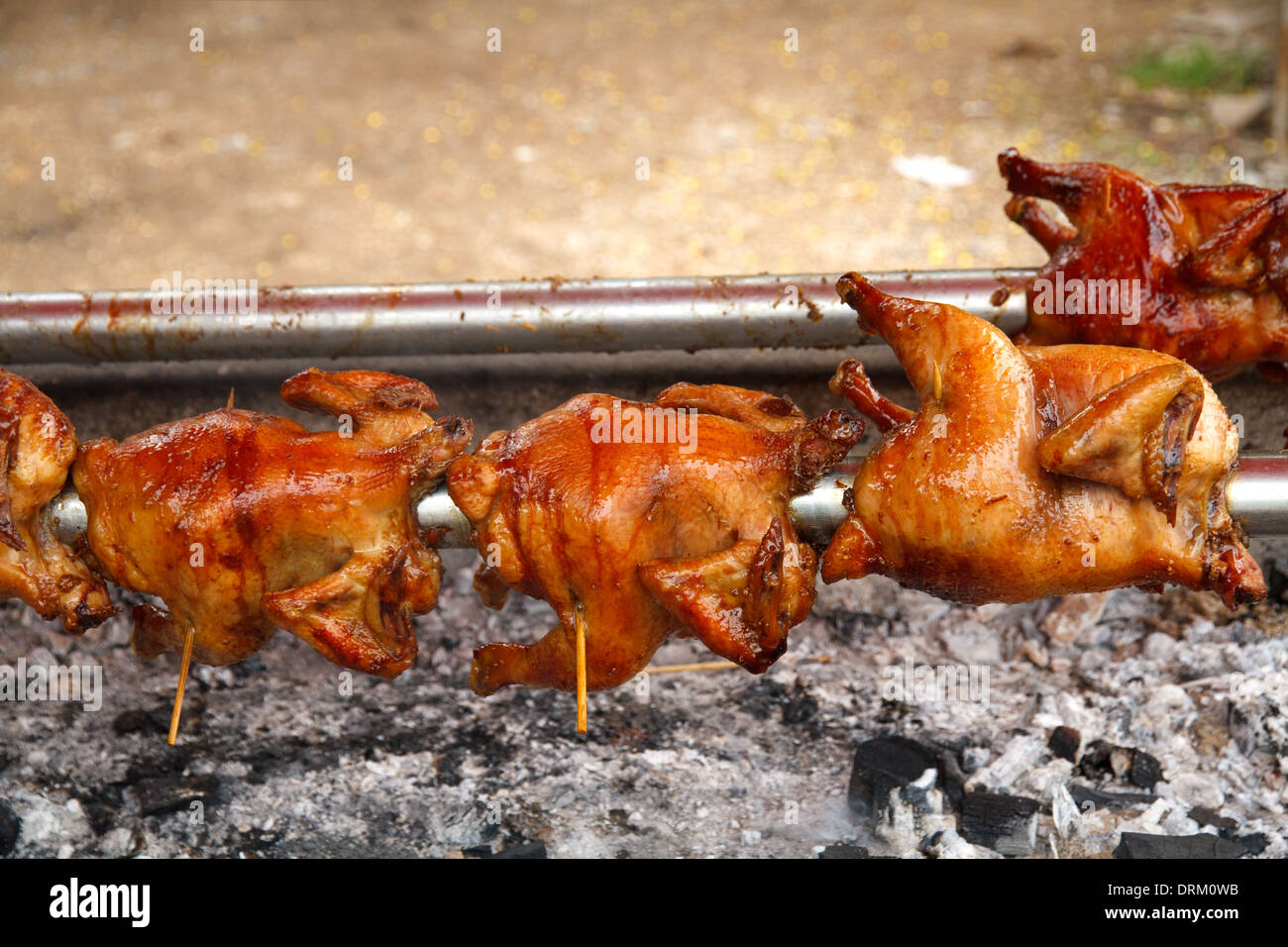 Chicken machine hi-res stock photography and images - Alamy