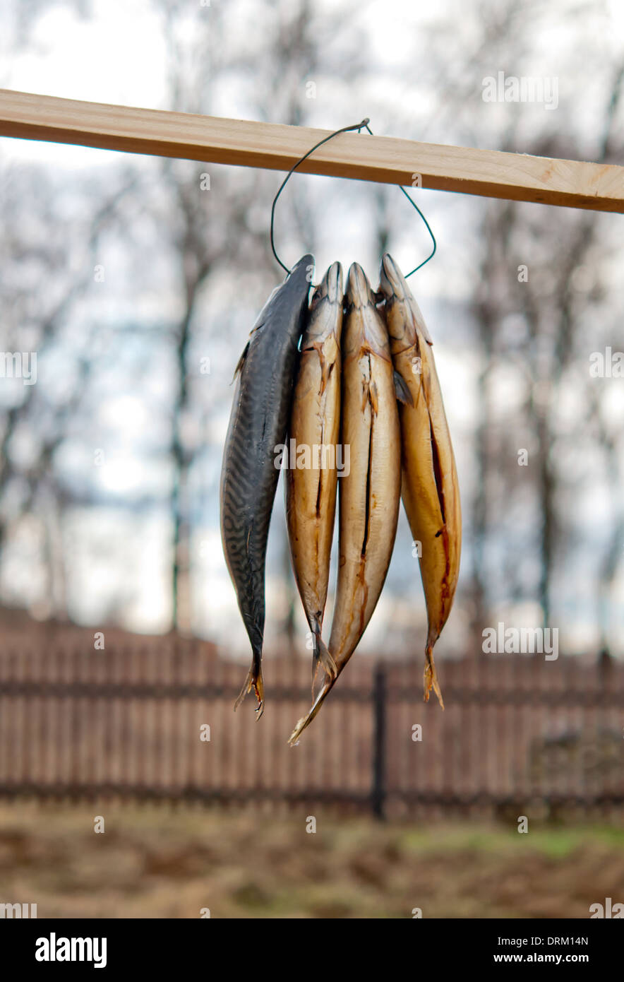 Outdoor Fish Drying Rack Stock Photos & Outdoor Fish Drying Rack Stock ...