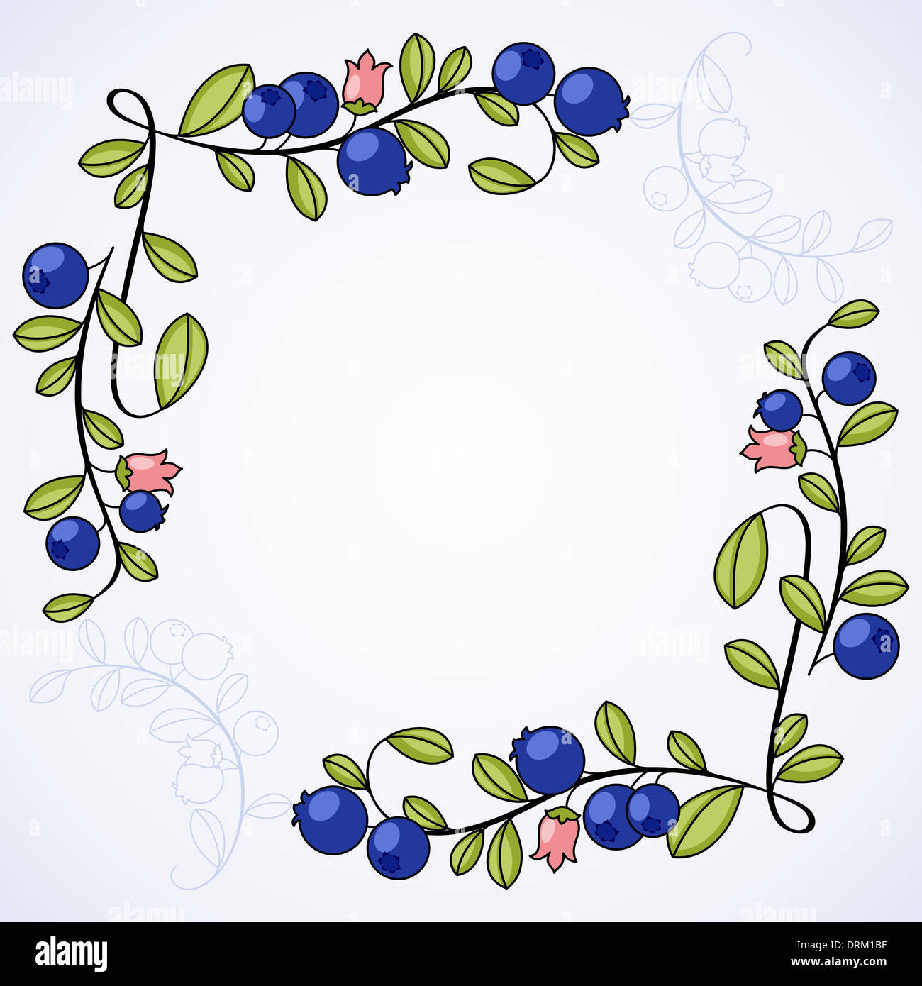 Elegant frame with blueberries Stock Photo - Alamy