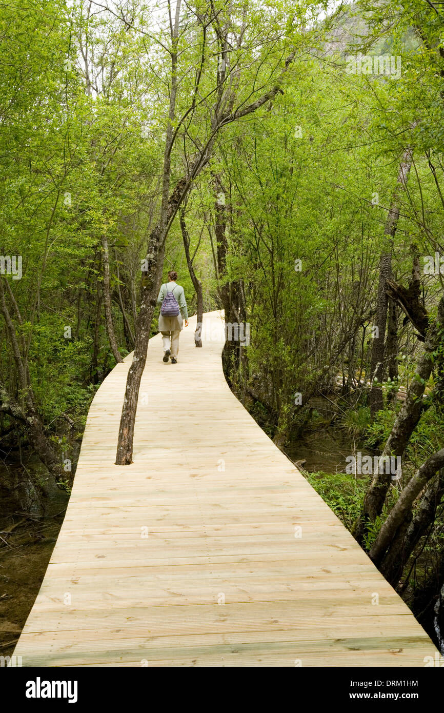 Walkway / pathway / foot path / footpath & tourist walker / walking ...