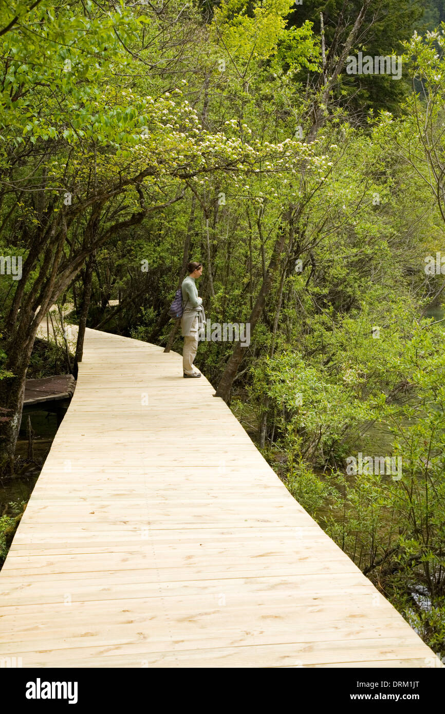 Walkway / pathway / foot path / footpath & tourist walker / walking ...