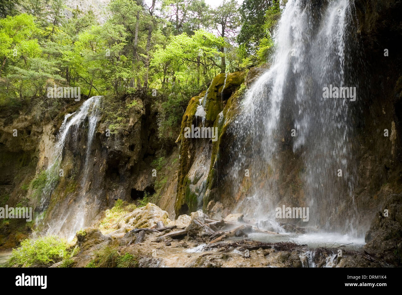 Beautiful flowing waterfall / water falls / water fall in the ...