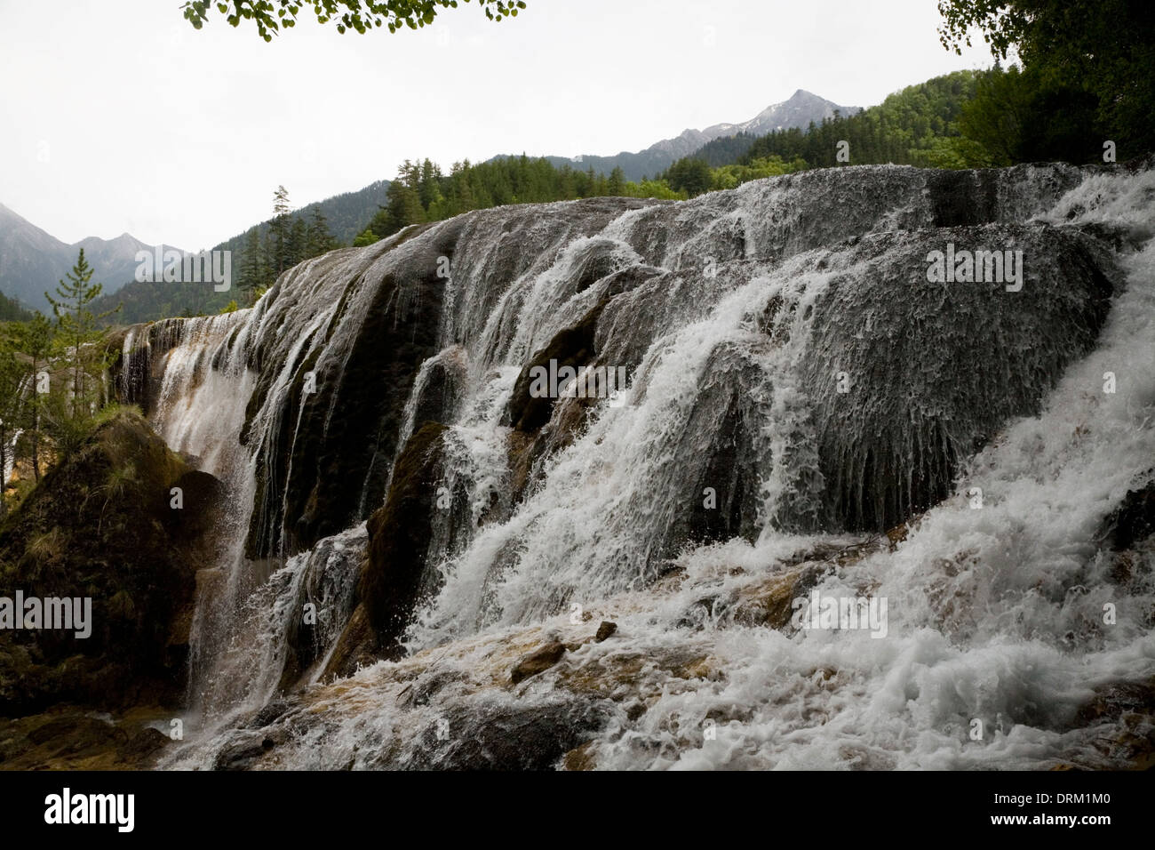 Beautiful flowing waterfall / water falls / water fall in the ...