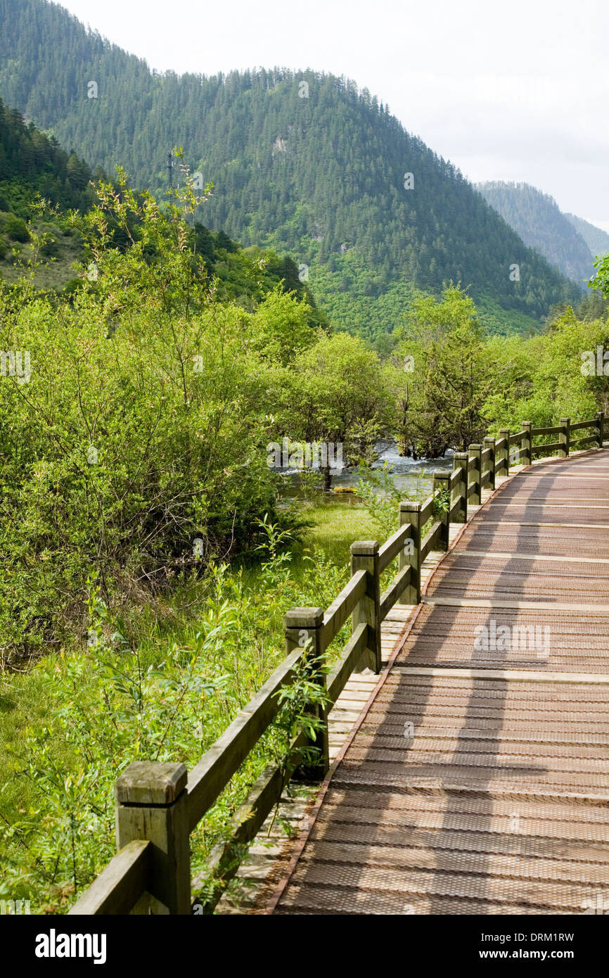 Walkway / pathway / foot path / footpath for walking tourists / walker ...