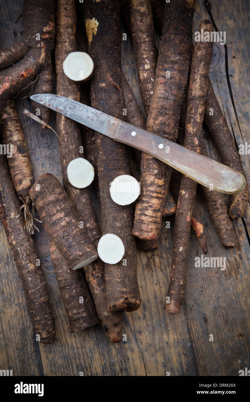 Sliced and whole black salsifies (Scorzonera hispanica) with kitchen ...