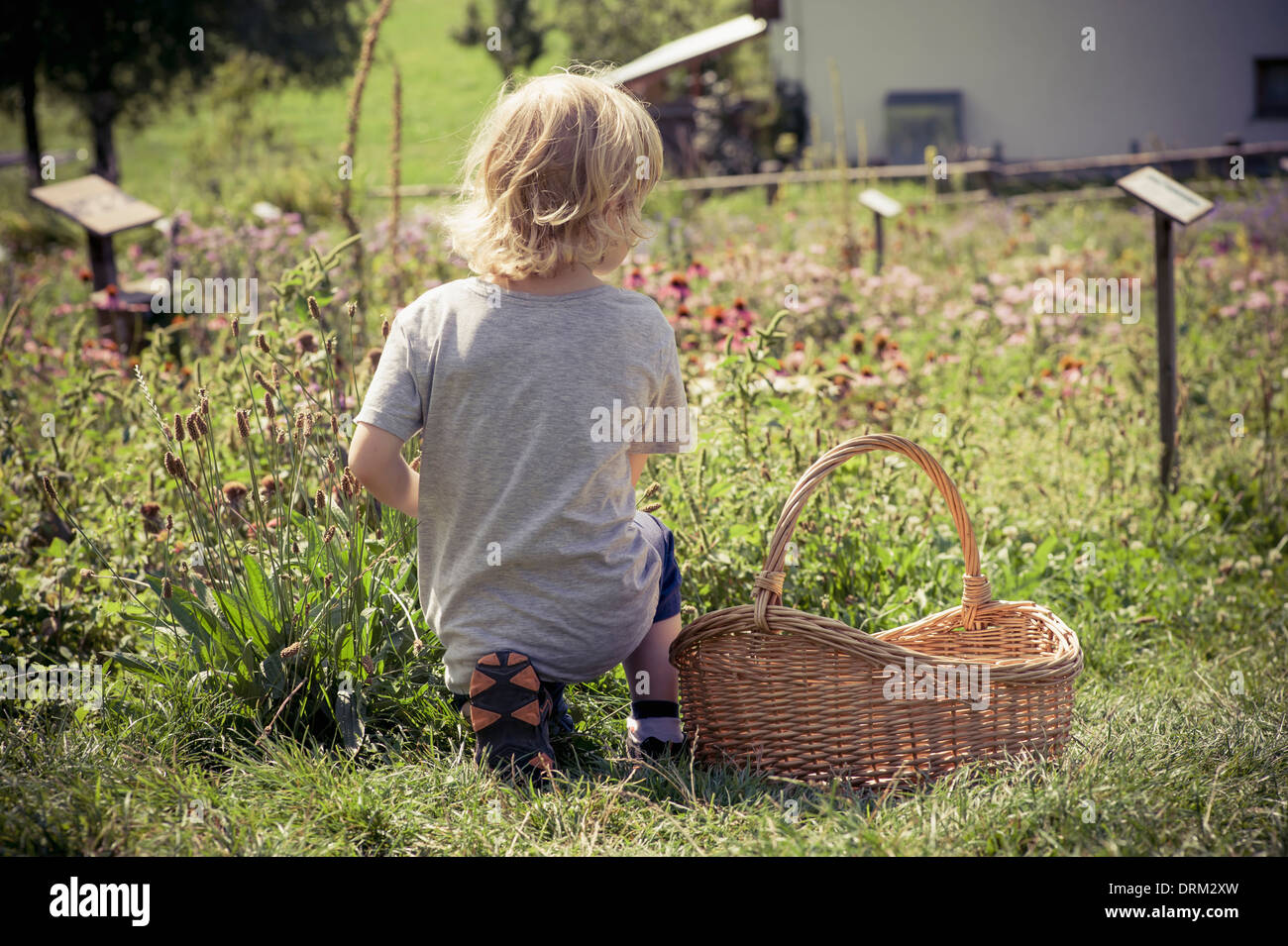 Child Kneeling Rear View High Resolution Stock Photography and Images ...