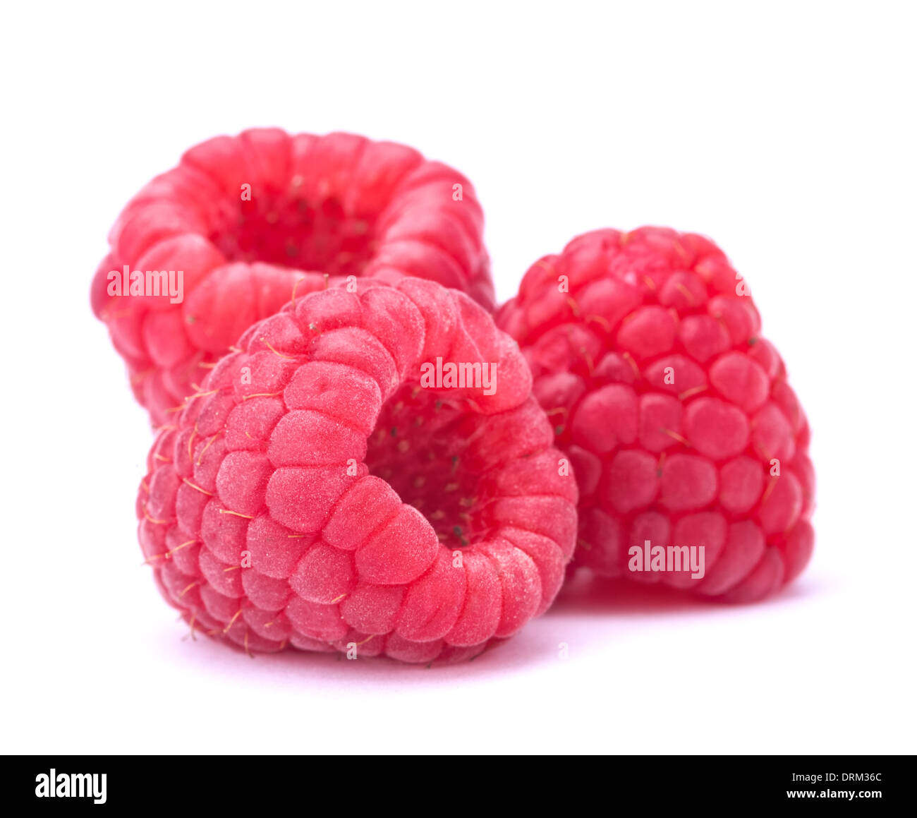 Raspberry plant detail Cut Out Stock Images & Pictures - Alamy