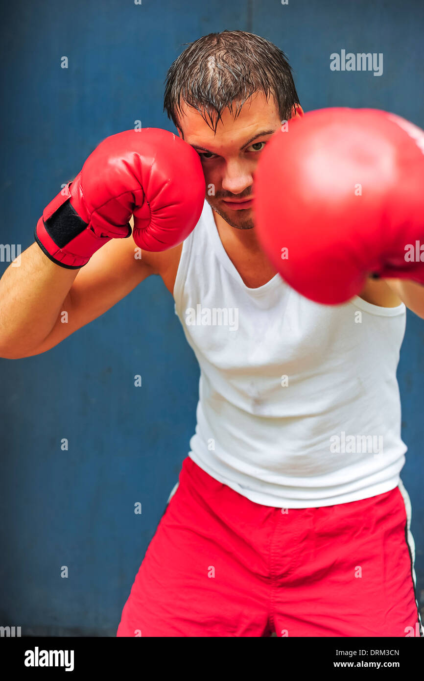 Boxer red boxing gloves fighting hi-res stock photography and images ...