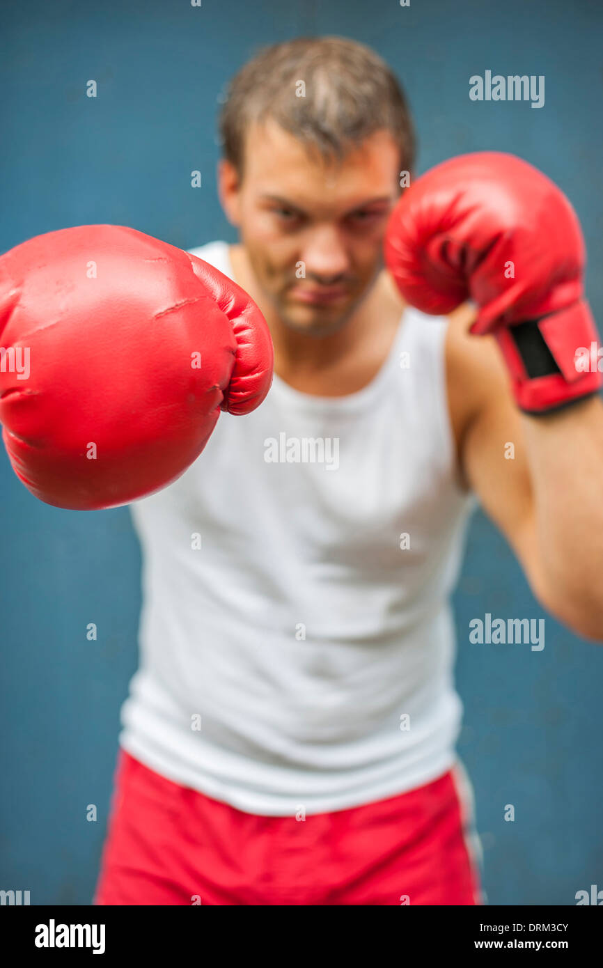 Boxer with red boxing gloves fighting Stock Photo - Alamy