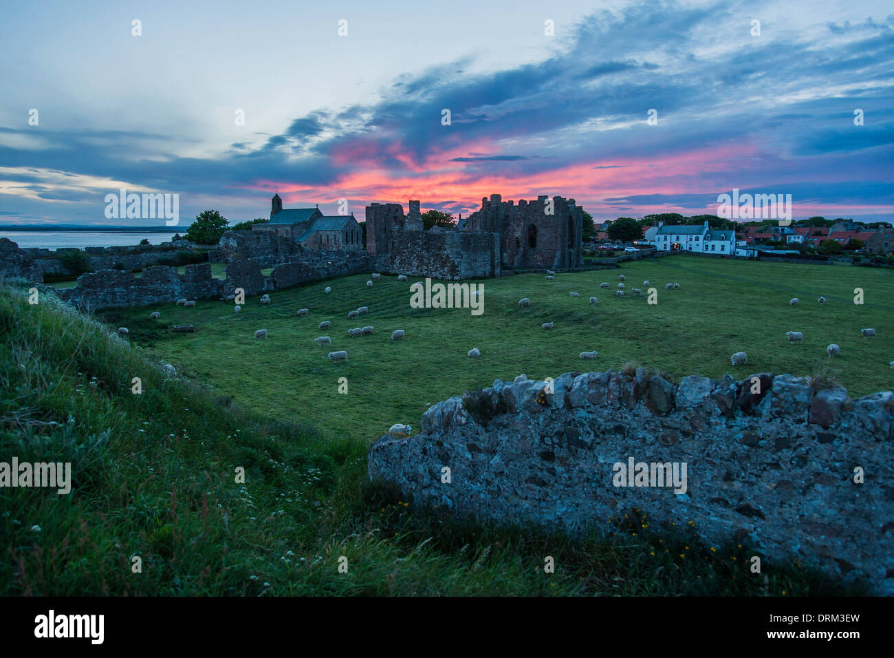 Great Britain, England, Northumberland, Holy Island, Lindisfarne ...