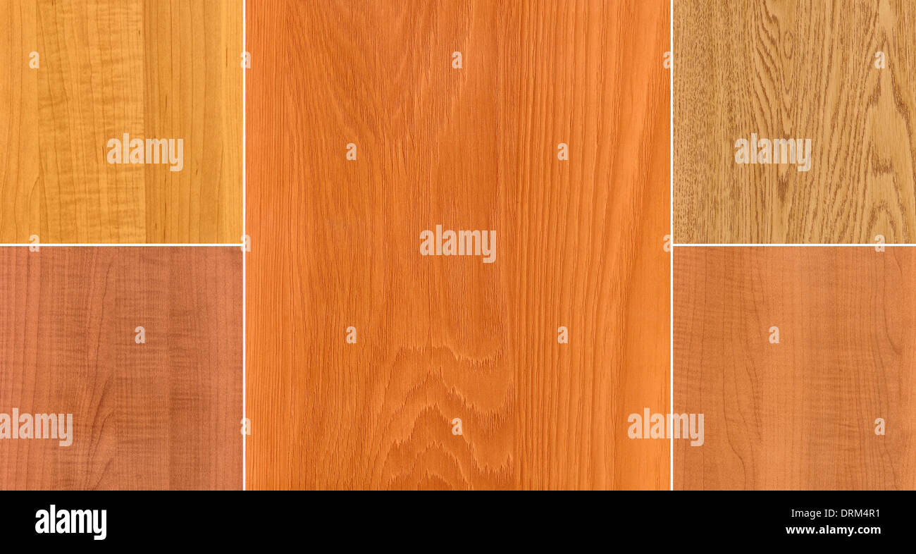 Texture diversity hi-res stock photography and images - Alamy