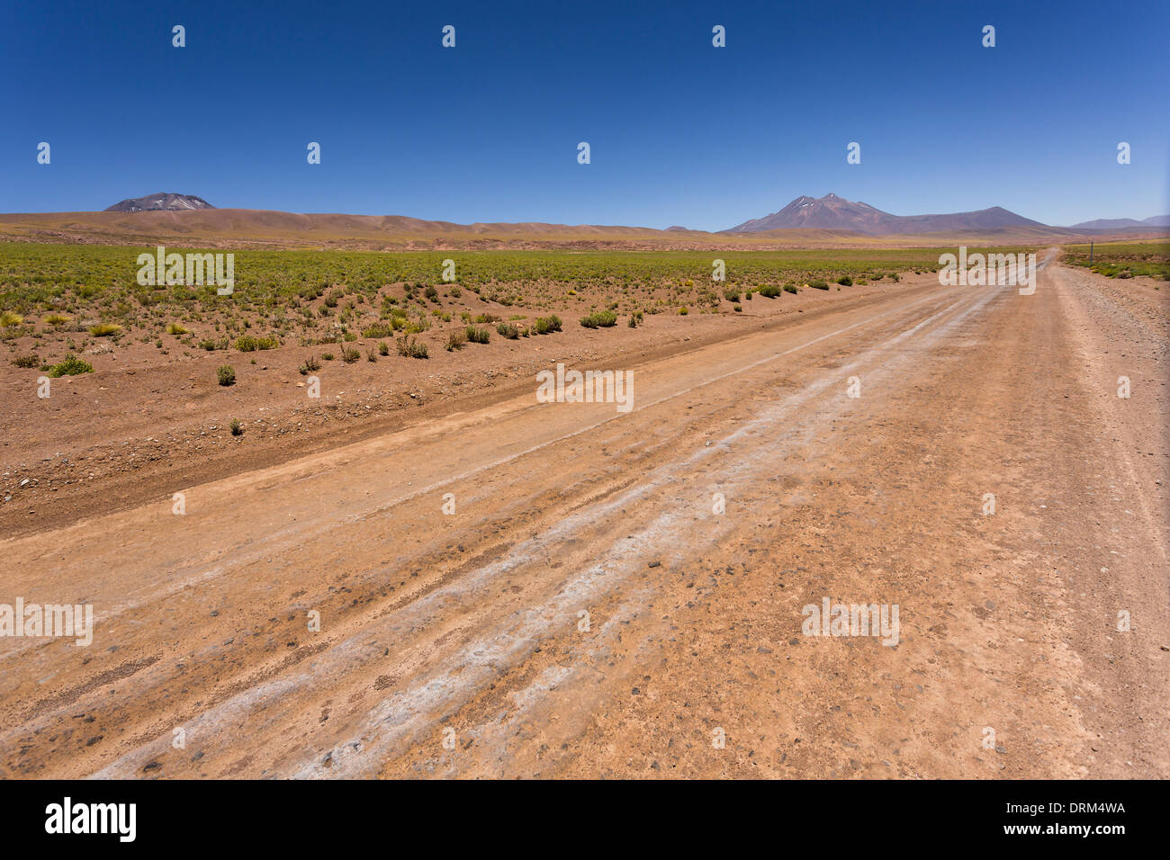 South America, Chile, Atacama Desert, road to Laguna Miscanti, in the ...