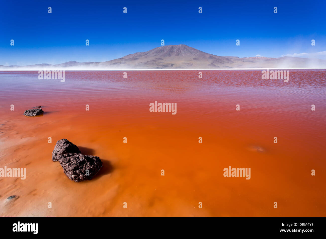 South America, Bolivia, Atacama Desert, Altiplano, Laguna Colorada ...
