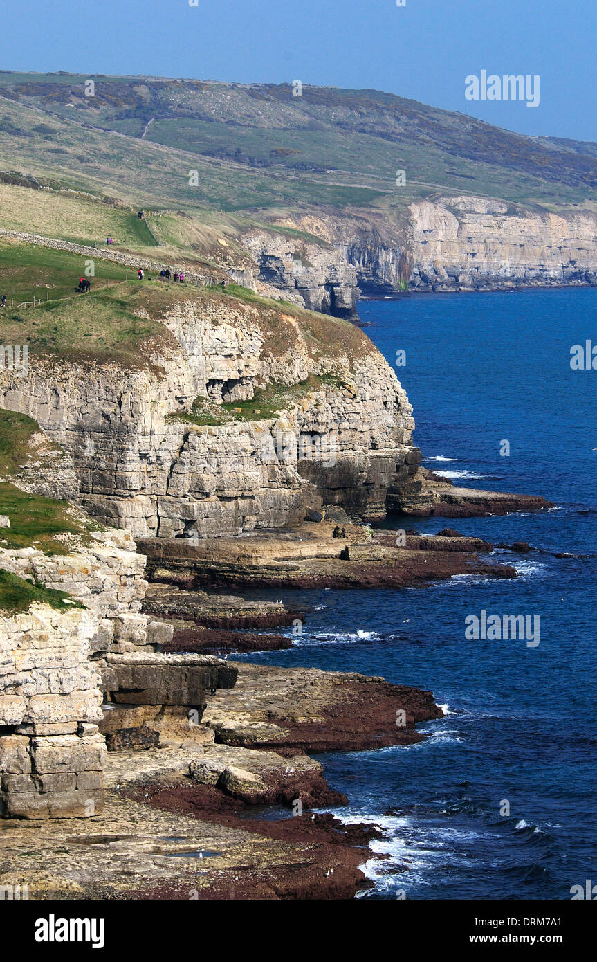 Seacombe cliff hi-res stock photography and images - Alamy