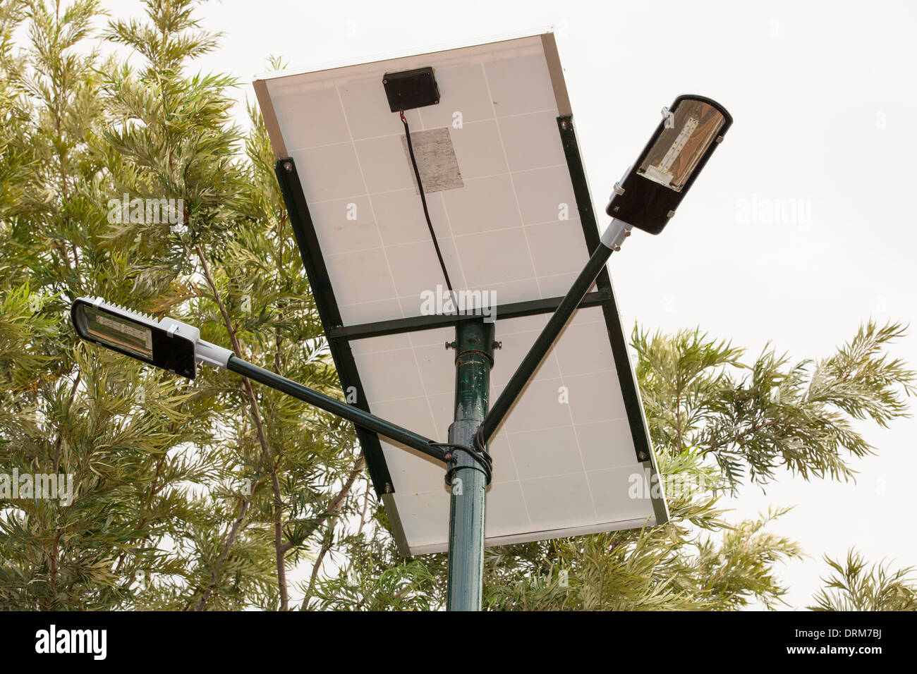 A solar street light in Bangalore, India Stock Photo - Alamy