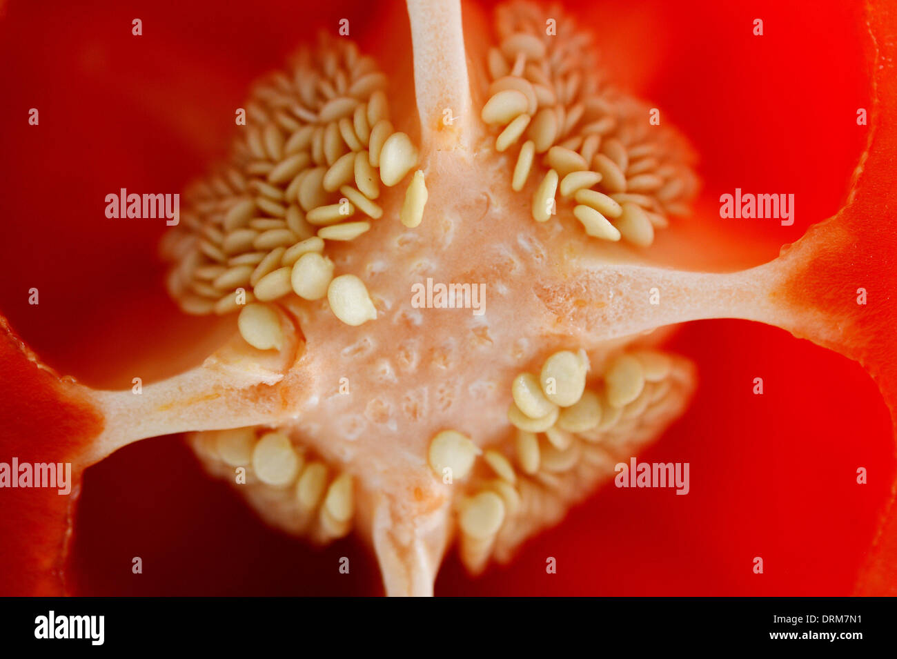 Close-up of the core of a pepper Stock Photo - Alamy