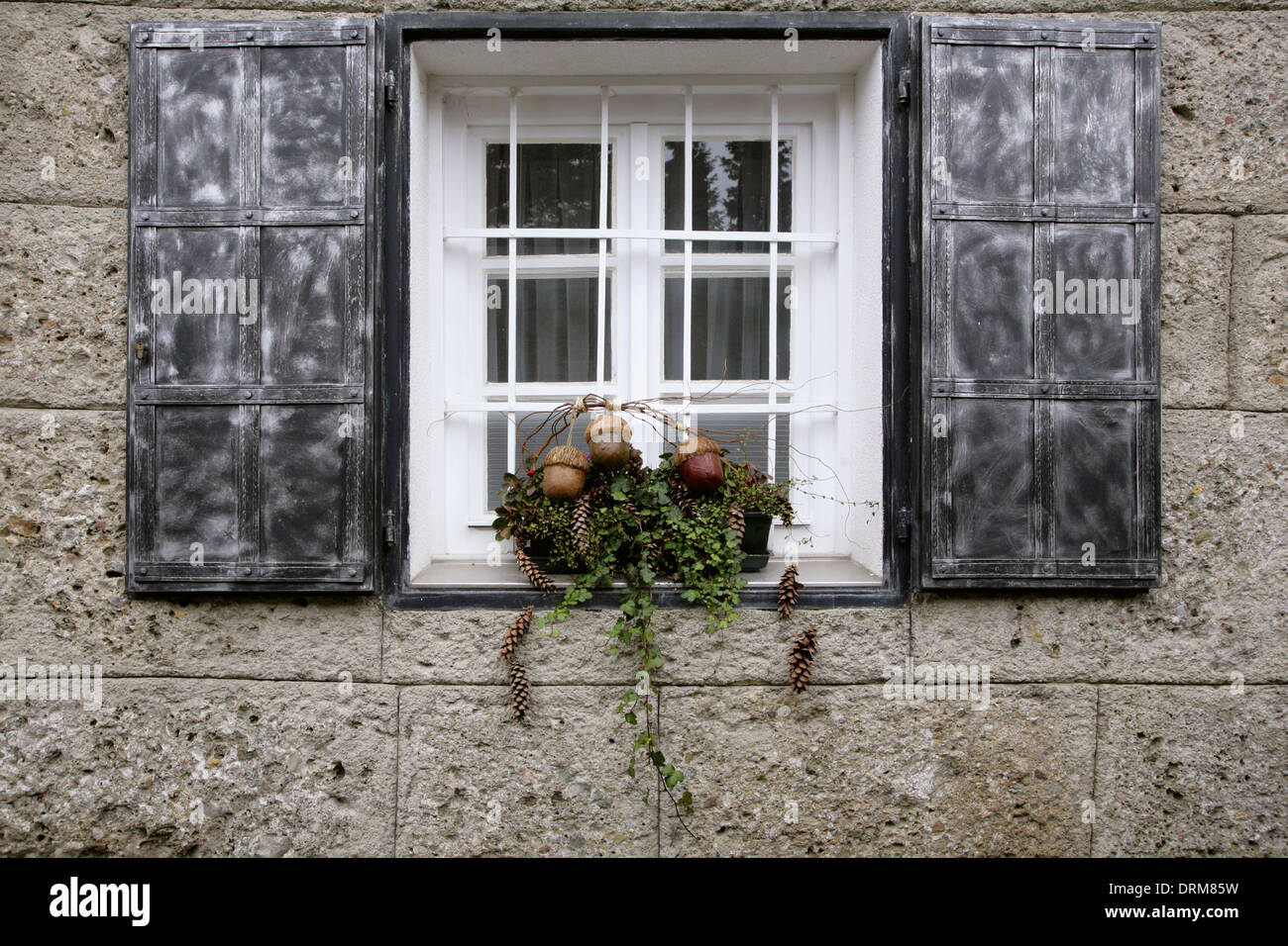 Decorative windowbox with acorn display in front of shuttered window ...