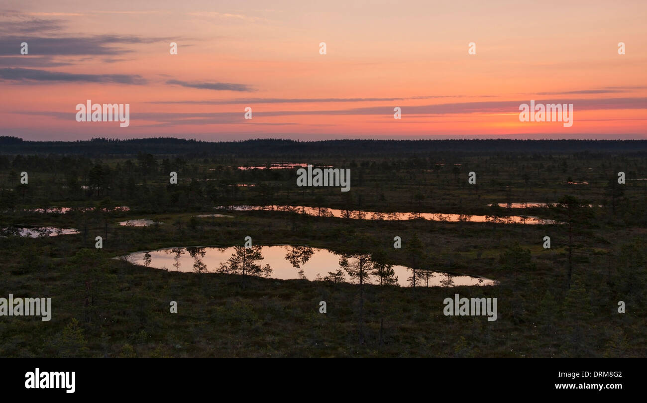 Bog pond hi-res stock photography and images - Alamy