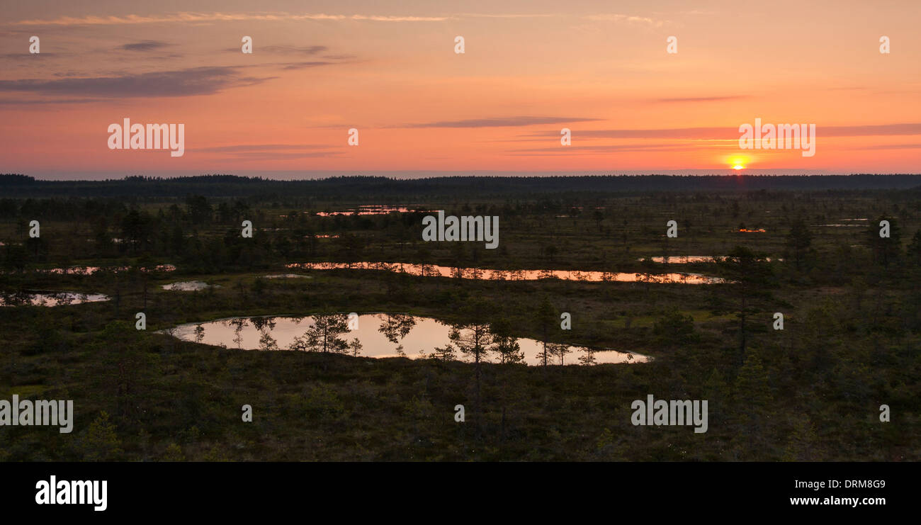 Bog pond hi-res stock photography and images - Alamy