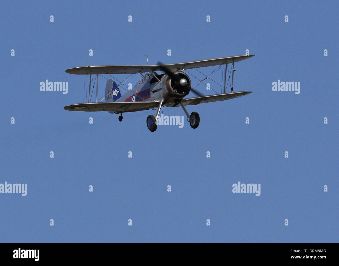 One of only two flying Gloster Gladiator biplane fighters left in the ...