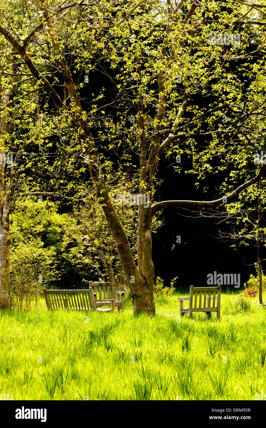 Seating around tree hi-res stock photography and images - Alamy