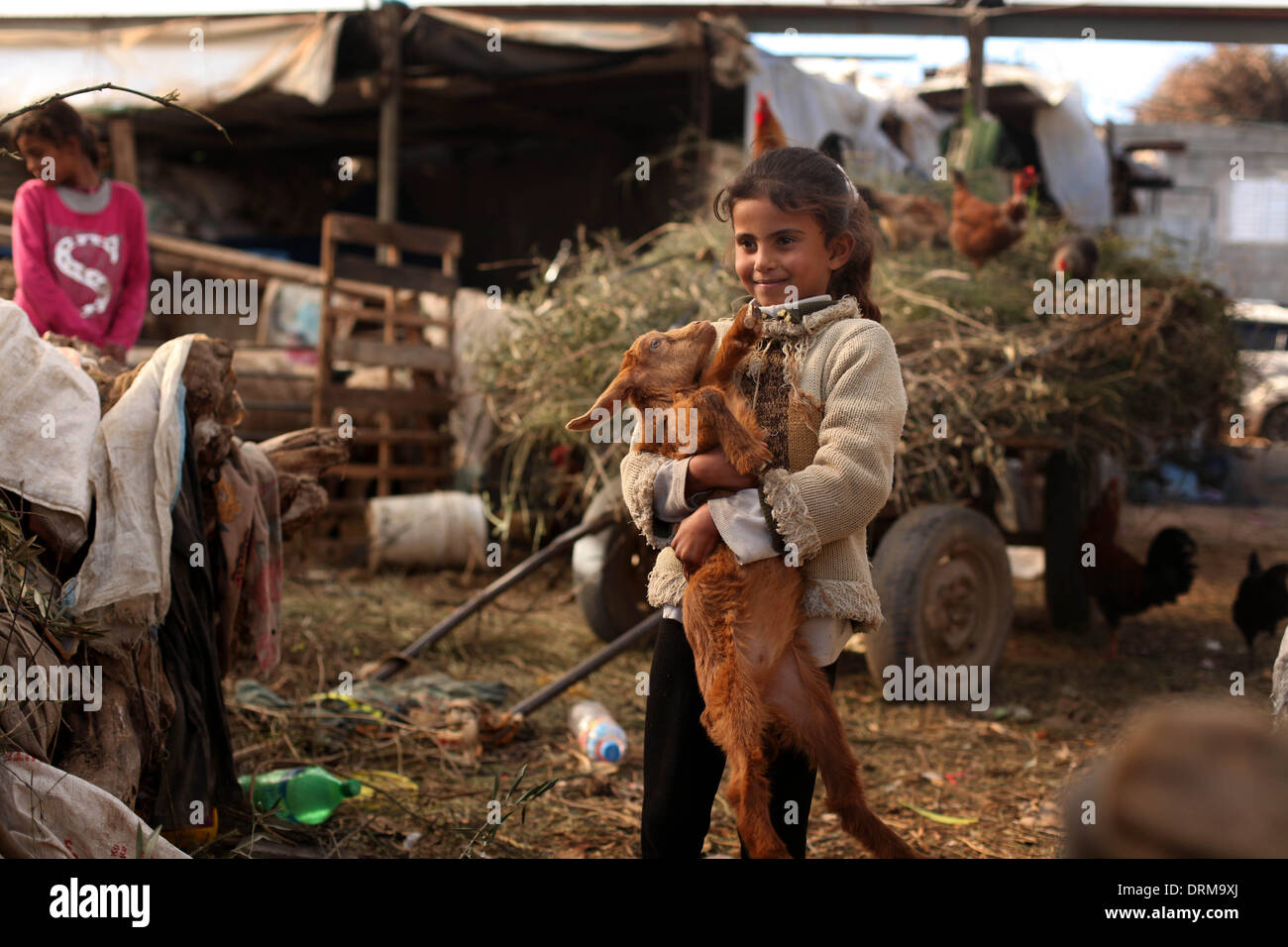 Gaza, Palestinian Territories. 29th Jan, 2014. Palestinian Bedouin girl ...