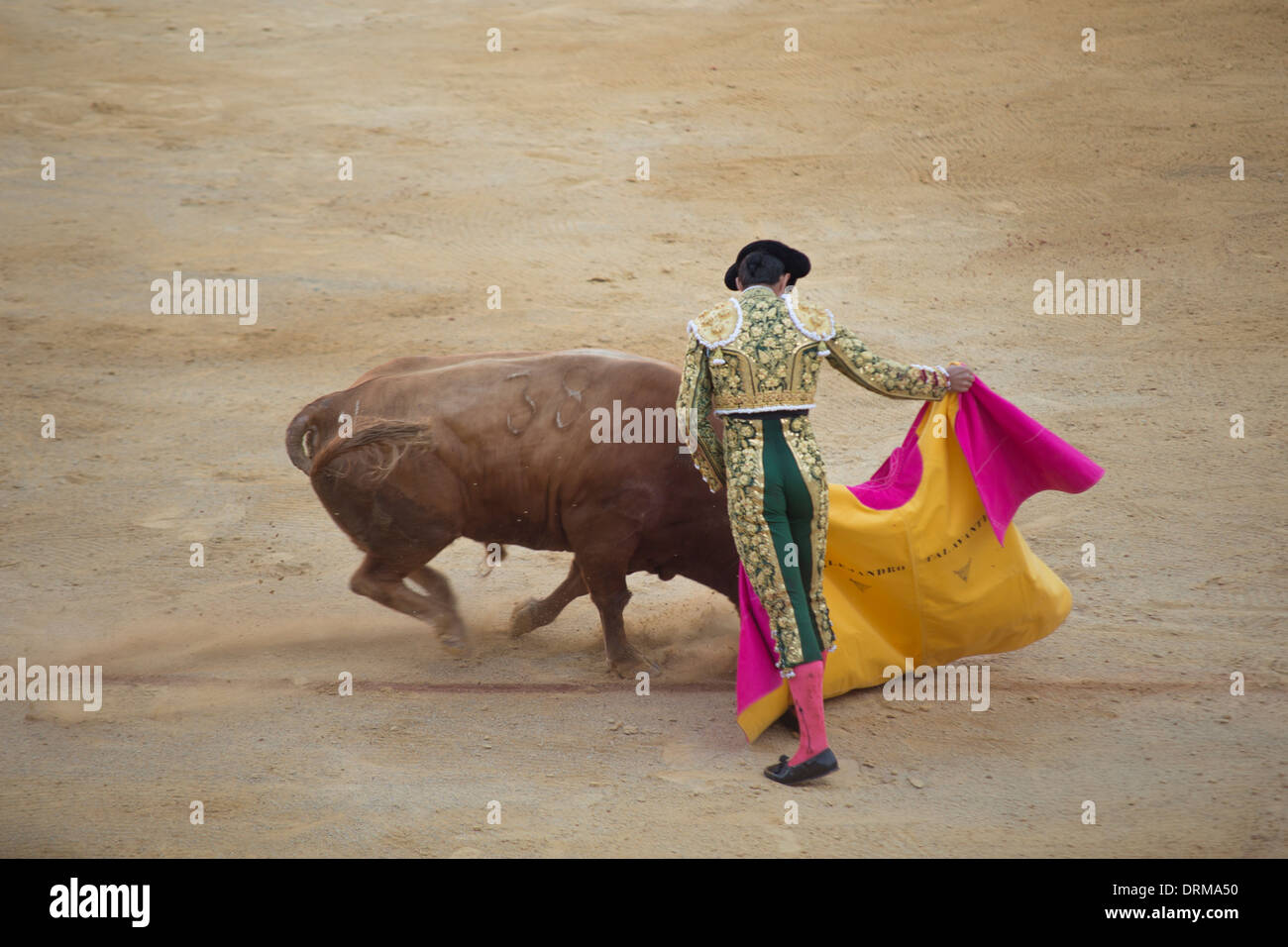 Bullfight matador hi-res stock photography and images - Alamy
