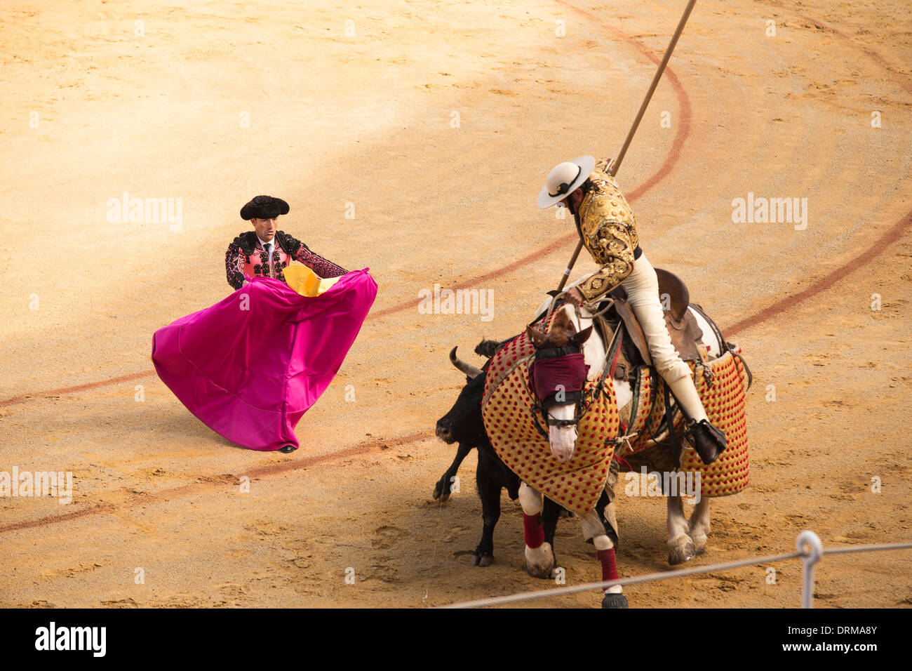 Bullfight spain torero bull hi-res stock photography and images - Alamy