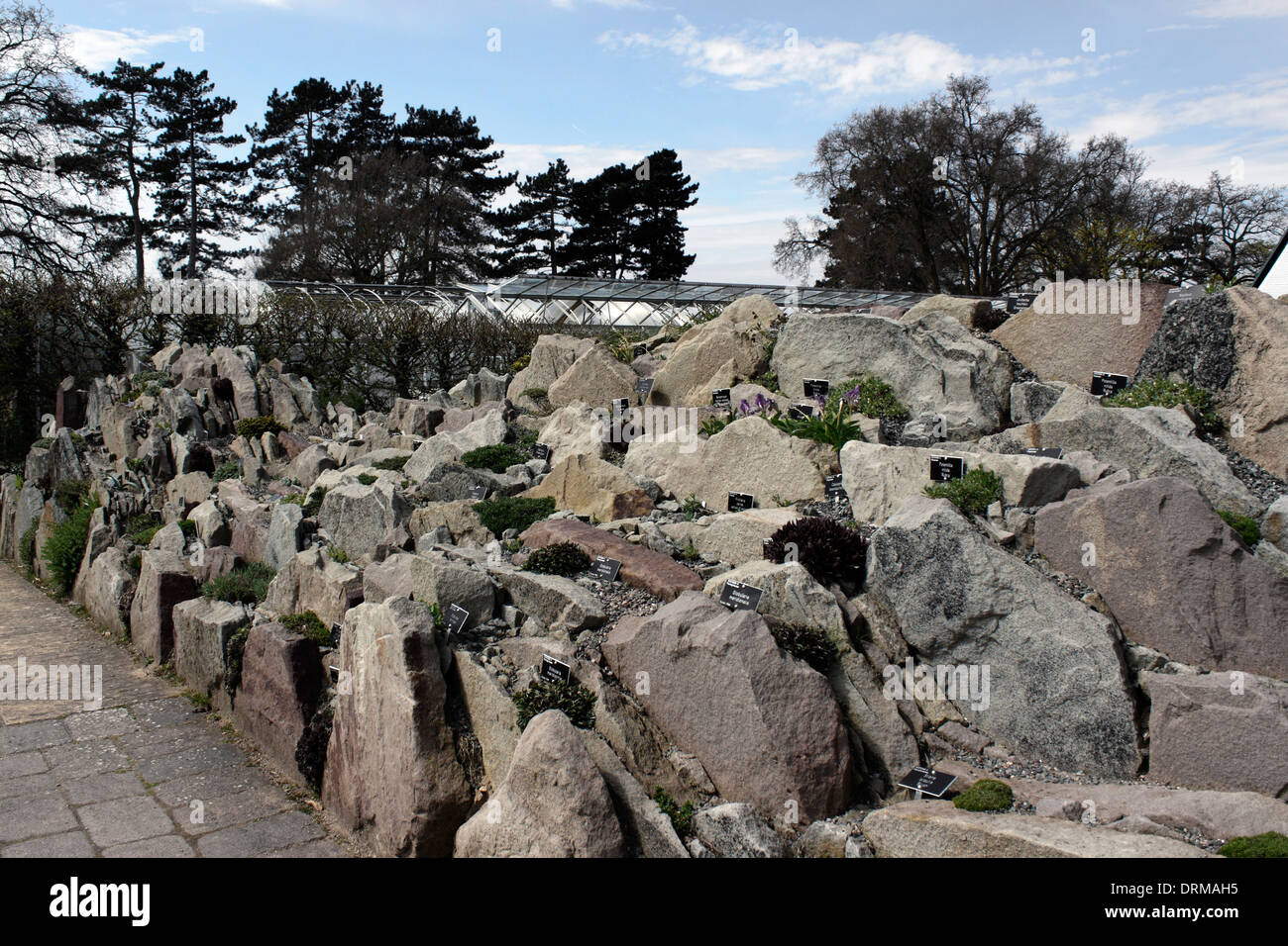 NEWLY BUILT AND PLANTED ROCK GARDEN AT RHS WISLEY Stock Photo - Alamy
