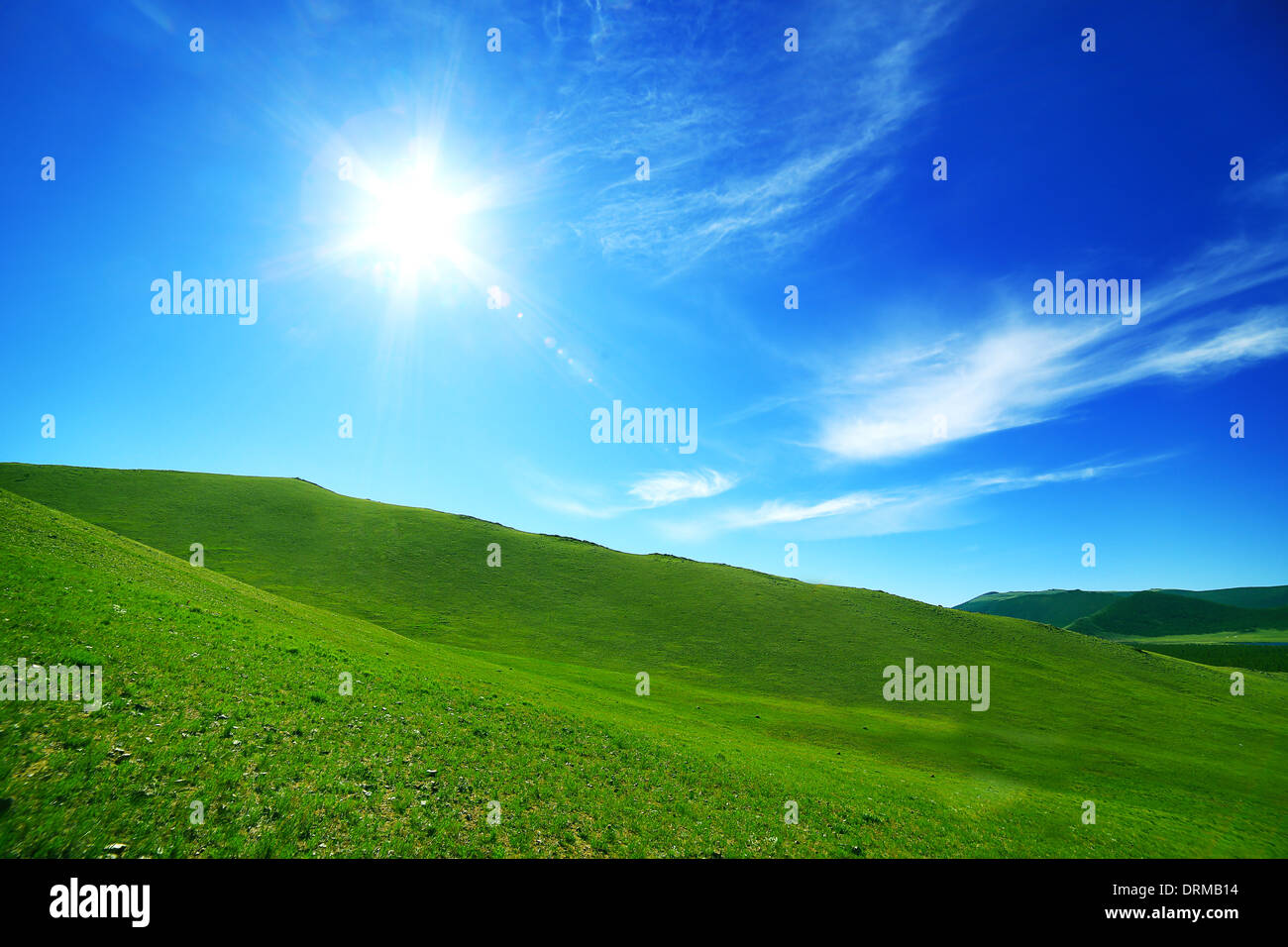 Mongolian landscape hi-res stock photography and images - Alamy