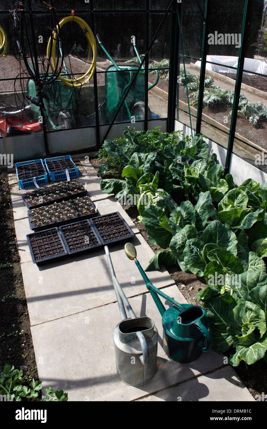 Greenhouse interior hi-res stock photography and images - Alamy