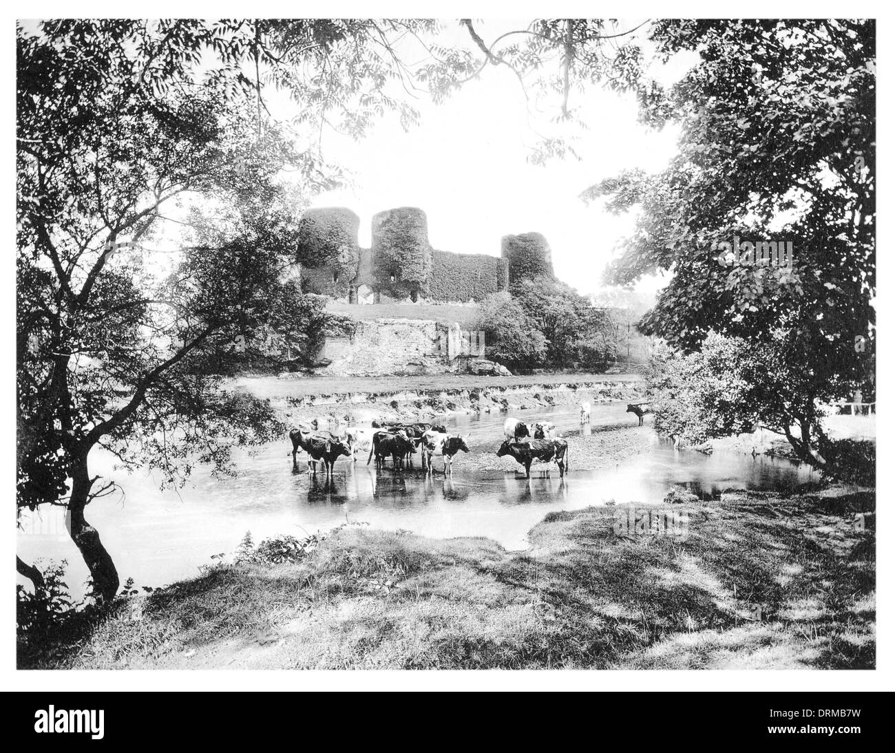 Rhuddlan castle from the River Clwyd Denbighshire, Wales Photographed ...