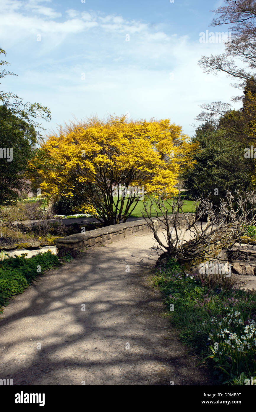 Winding footpath hi-res stock photography and images - Alamy