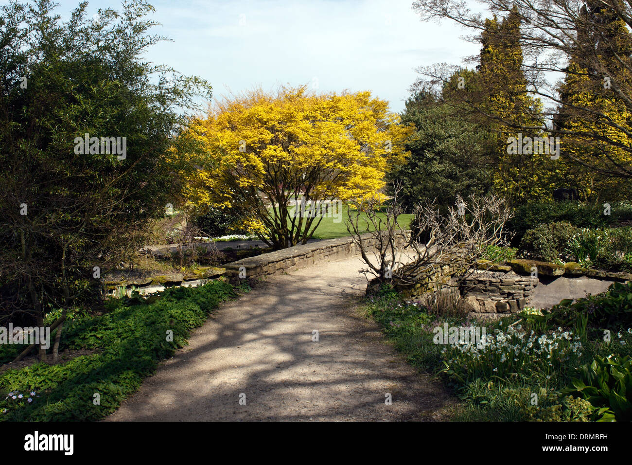Winding footpath hi-res stock photography and images - Alamy