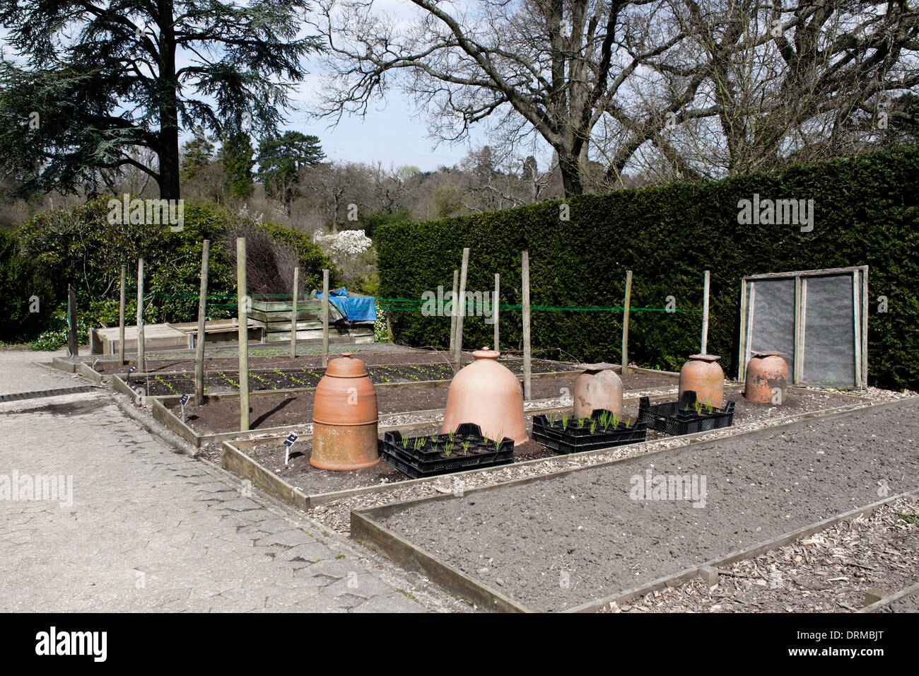 Prepared seedbed hi-res stock photography and images - Alamy