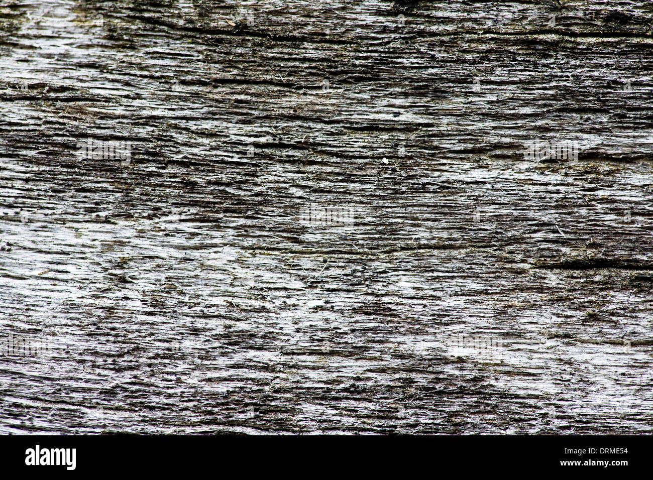 Drift Wood Texture High Resolution Stock Photography and Images - Alamy