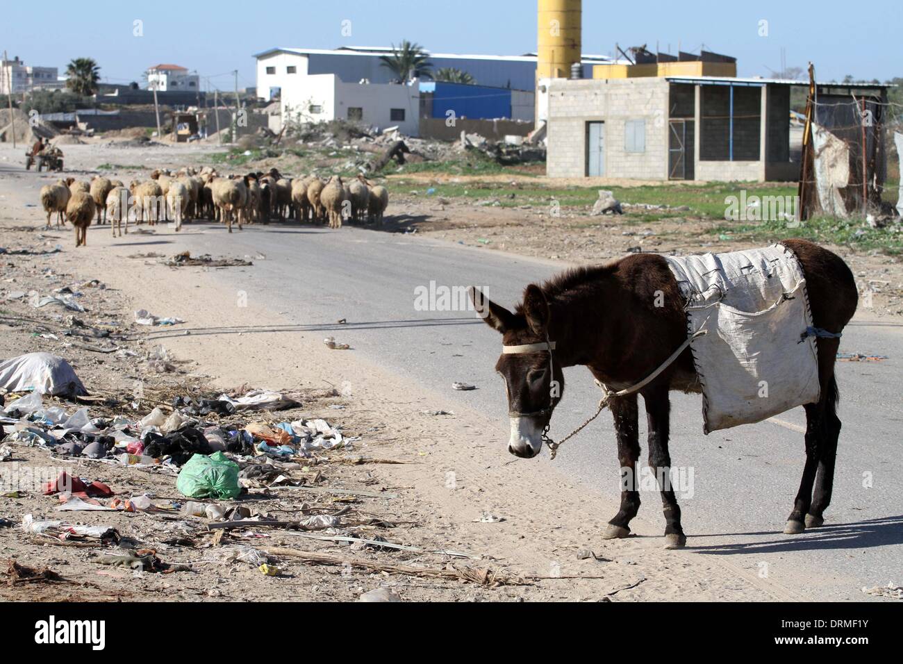 Gaza City, Gaza Strip, Palestinian Territory. 1st April, 2009 ...