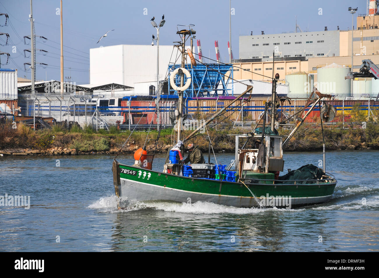 Fishing industry israel hi-res stock photography and images - Alamy