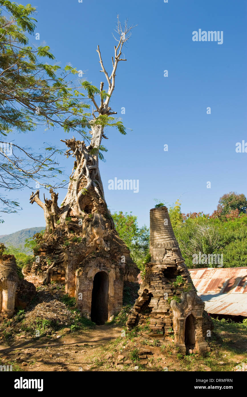 Myanmar, Inle lake, Inlay Shwe Inn Tain pagoda Stock Photo - Alamy