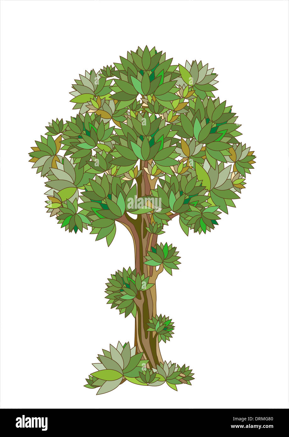 stylized green tree isolated over white Stock Photo - Alamy