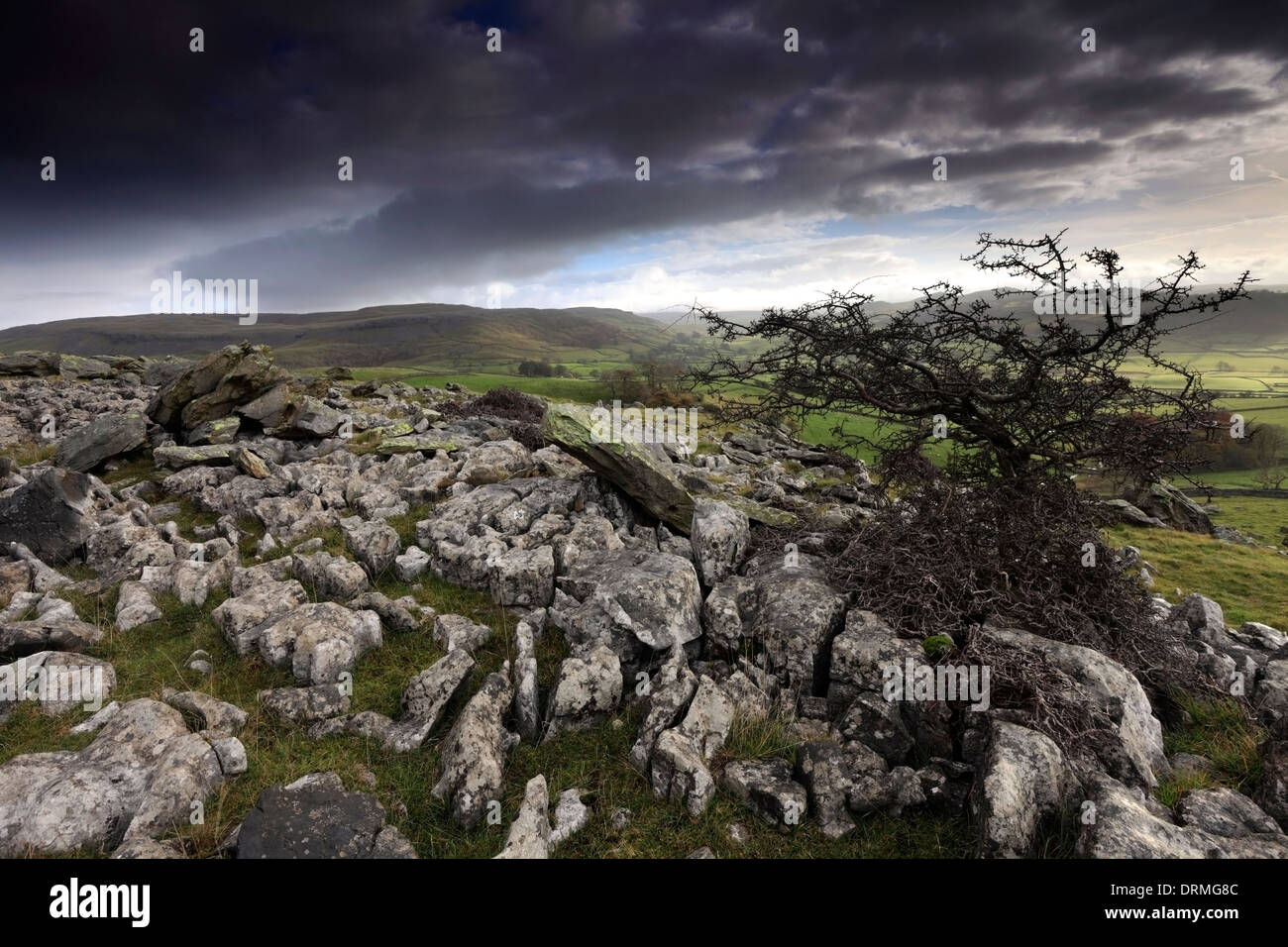 The Norber Erratics rock formations, Norber Dale near the village of ...