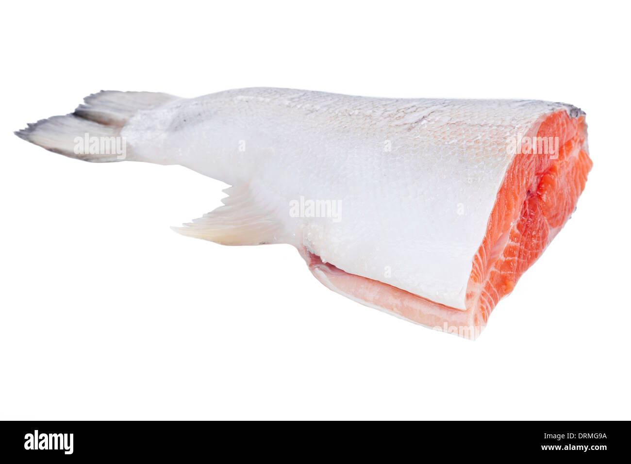 Trout isolated on white Stock Photo - Alamy