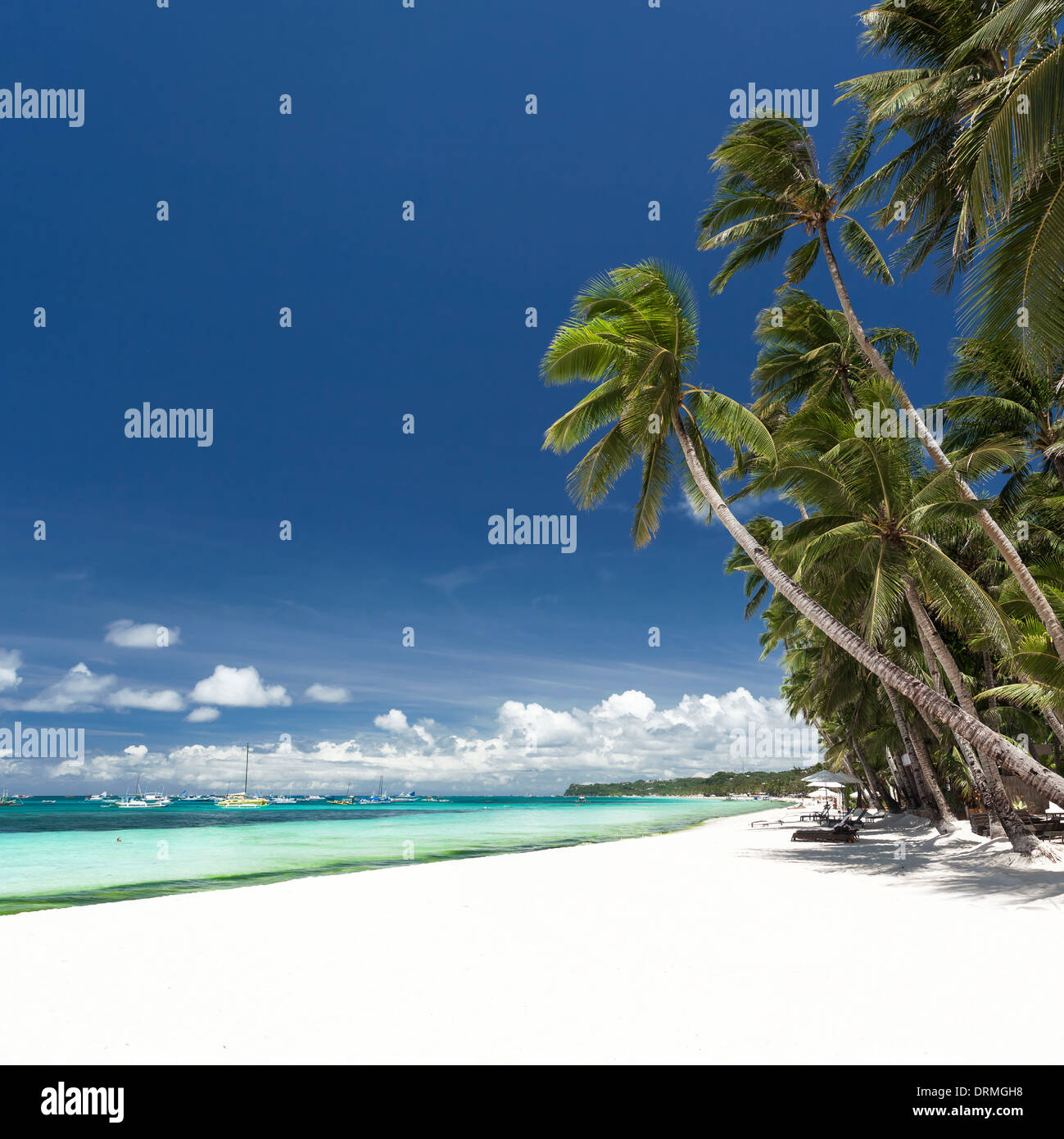Tropical beach with palm and white sand, Philippines, Boracay Stock ...