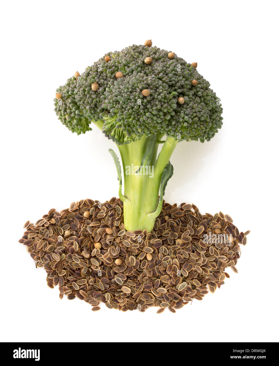 broccoli and spices isolated on white background Stock Photo - Alamy